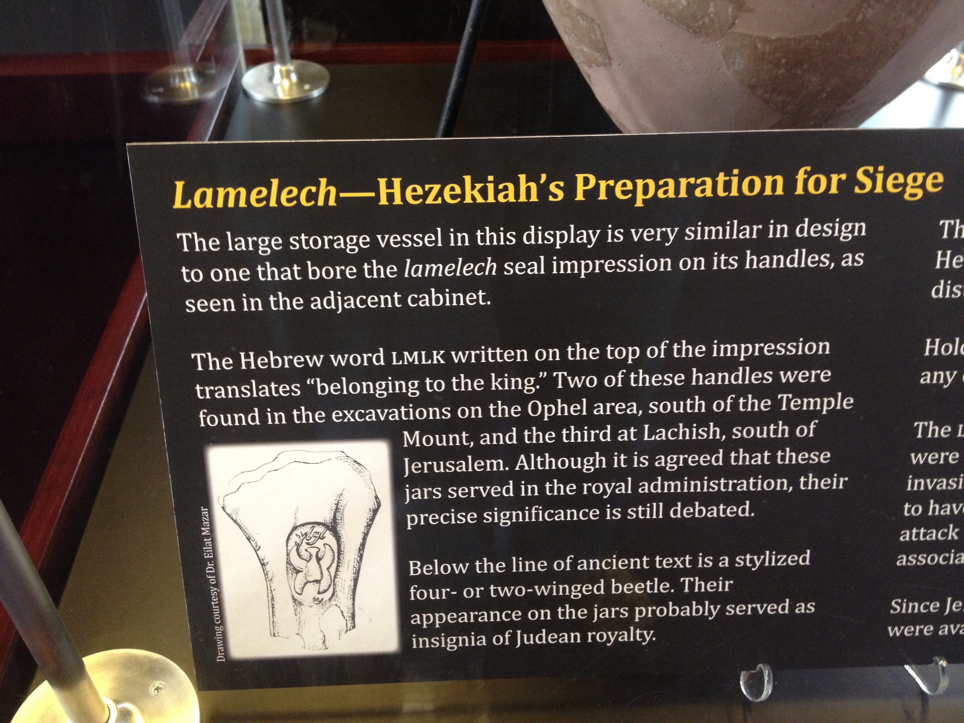 Reps & Sets Daily Devotions