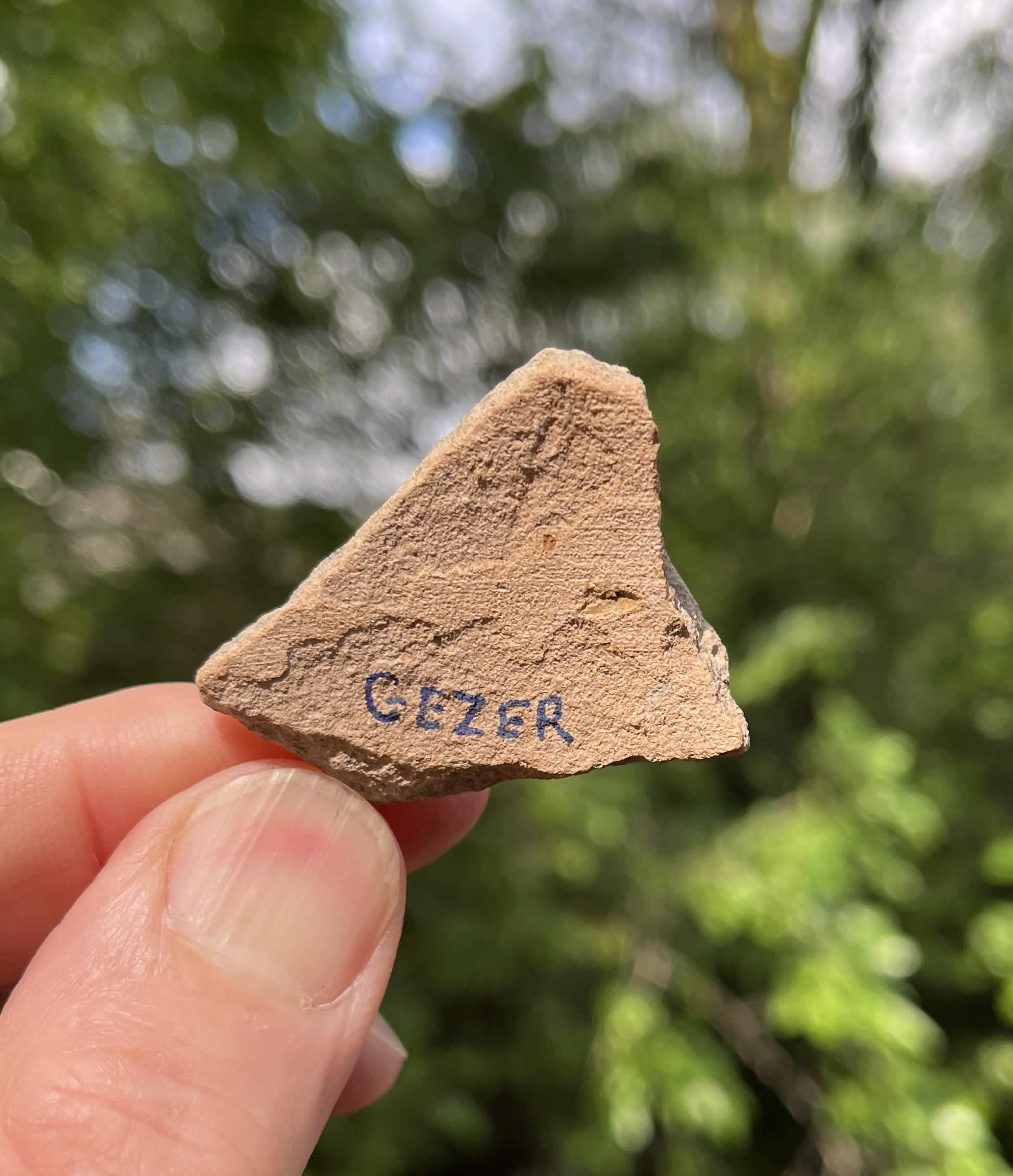 Bible Museum - Greeks and Maccabees 332-20 BC