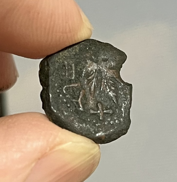 Bible Museum - New Testament 20 BC-100 AD